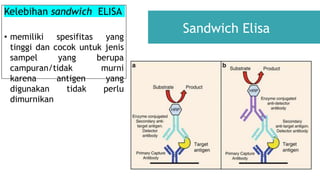 455797170-PROSES dan metode ELISA-pptx.pptx