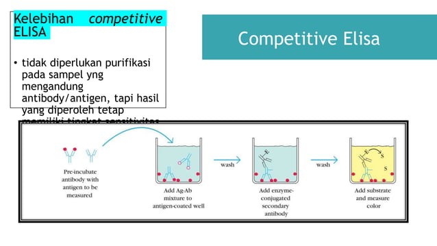 455797170-PROSES dan metode ELISA-pptx.pptx