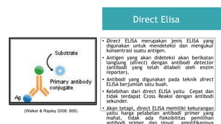 455797170-PROSES dan metode ELISA-pptx.pptx