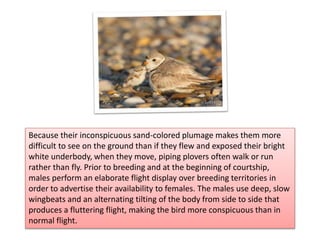 Presentation1 etited (2) | PPT