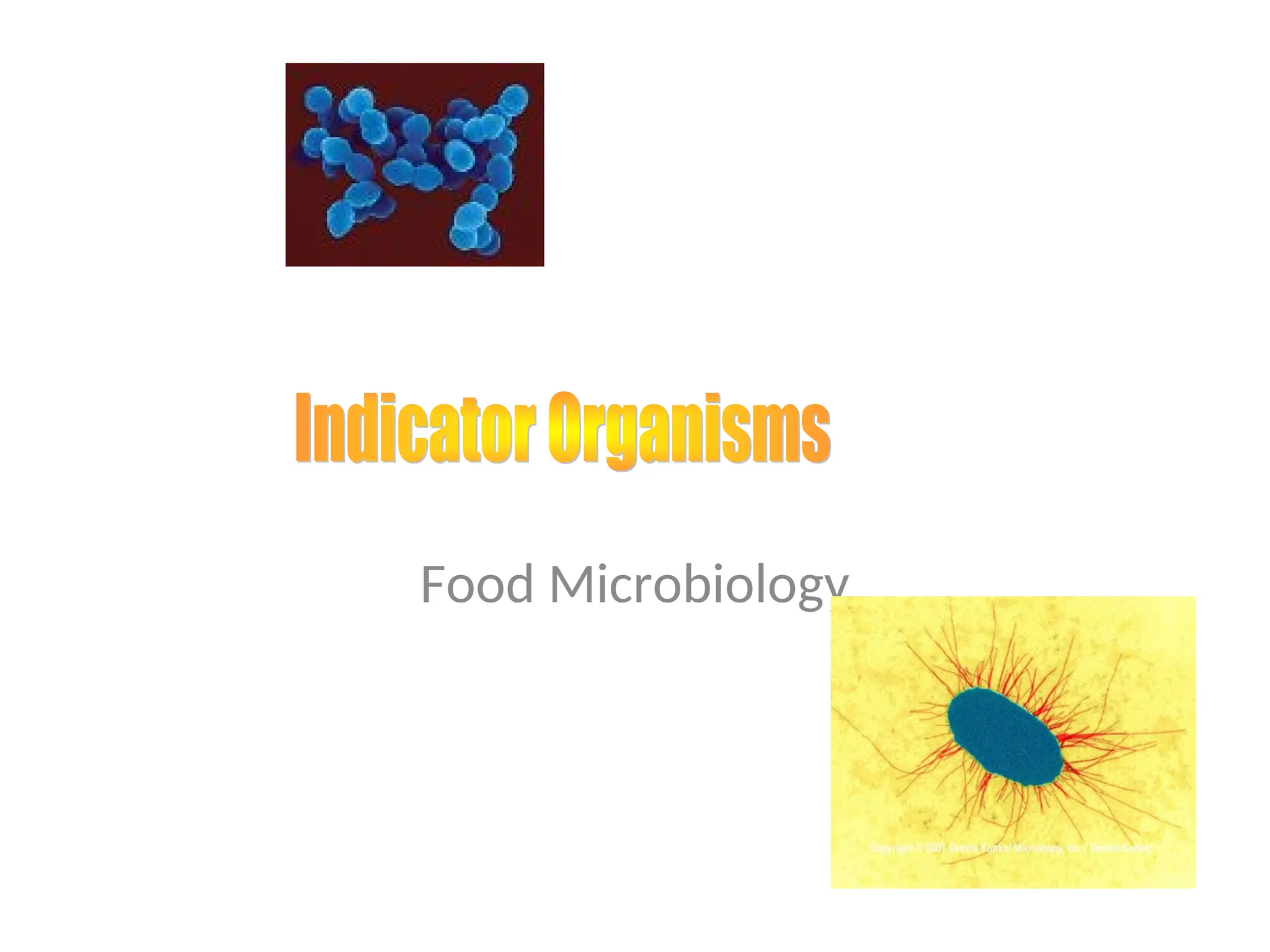 455_FST 304 UNAAB GEN MICROBIOLOGY - Oyewole and Obadina New.ppt