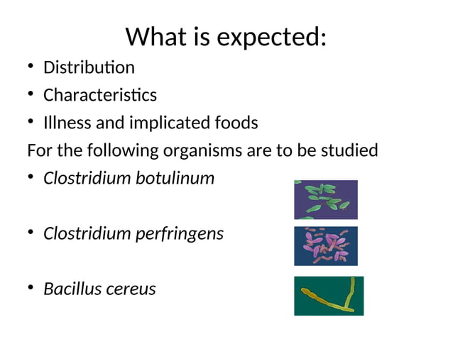455_FST 304 UNAAB GEN MICROBIOLOGY - Oyewole and Obadina New.ppt