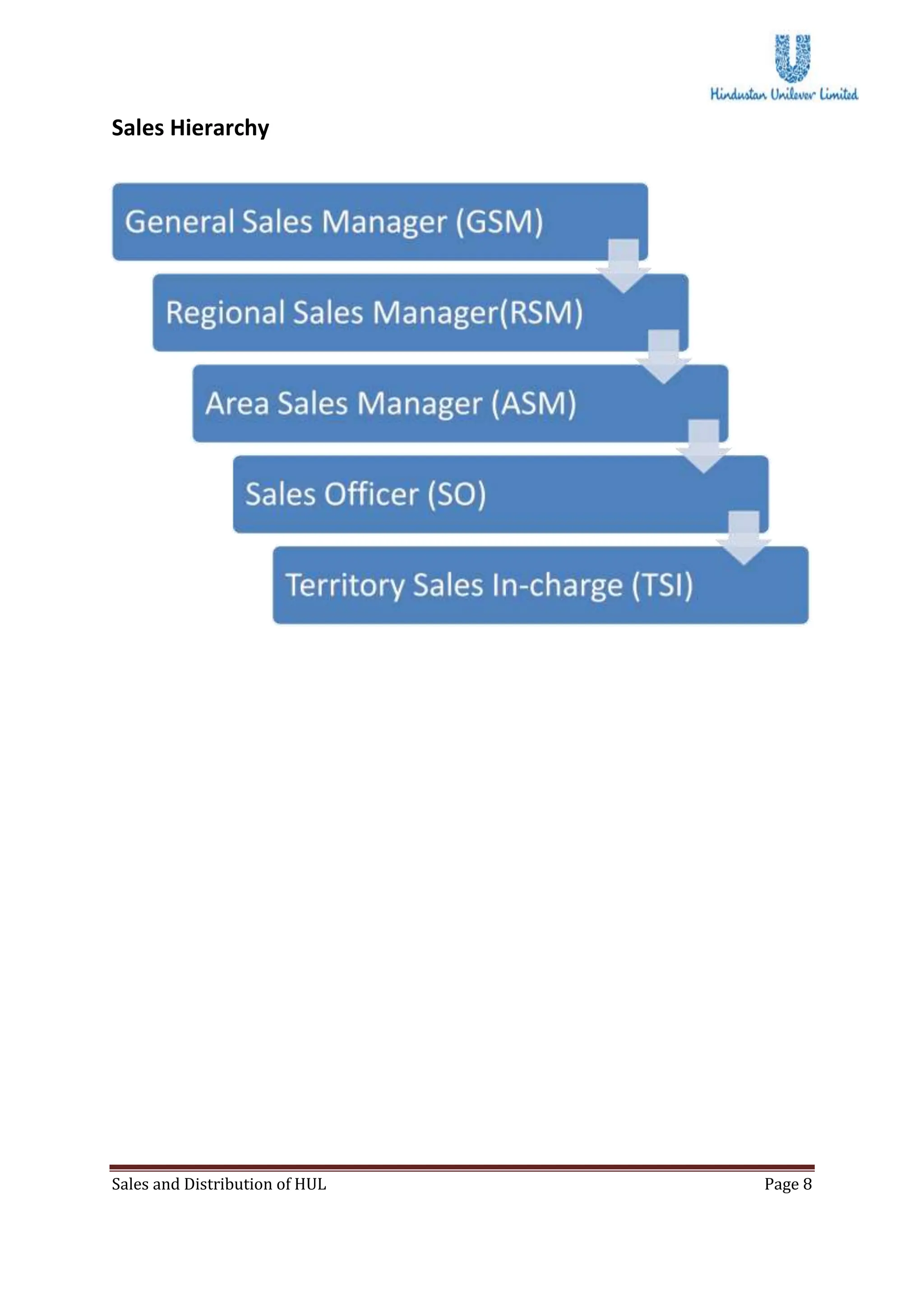 45667257-Sales-and-Distribution-of-HUL.doc
