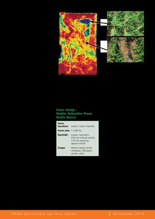 Weed Sensing SPAA Precision Agriculture Factsheet 2016 | PDF