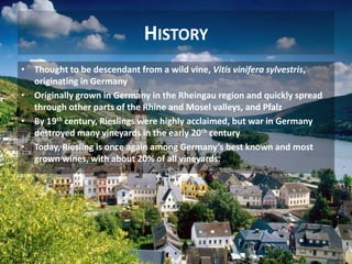 Riesling | PPTX