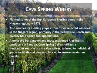 Riesling | PPTX