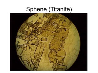 Sphene Thin Section