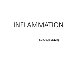 4_5773696283717929233.pptx