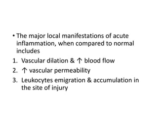 4_5773696283717929233.pptx