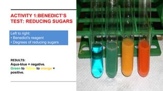 4_5780439296473303988 (1).pptx