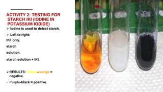 4_5780439296473303988 (1).pptx