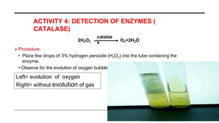 4_5780439296473303988 (1).pptx