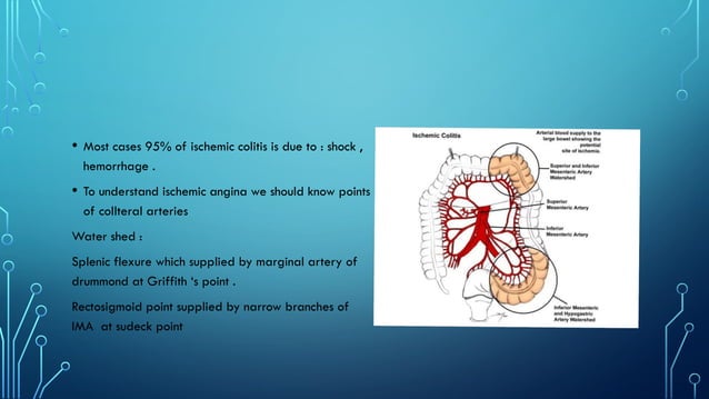 BowelIschemiaPresentationByMaiBashir.pptx