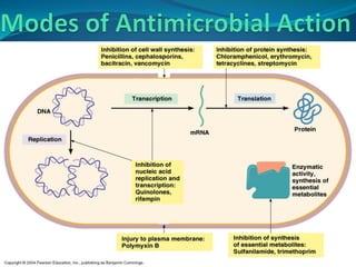 Antimicrobial drug’s types and classification .pdf