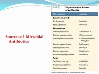 Antimicrobial drug’s types and classification .pdf
