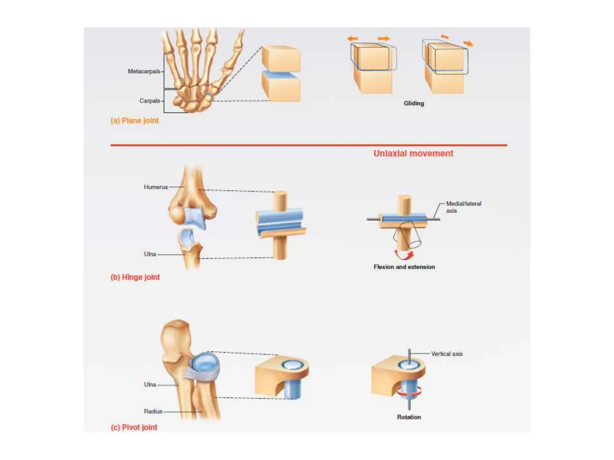 Joint presentation description 4_5810042307021376986.pptx | Free Download