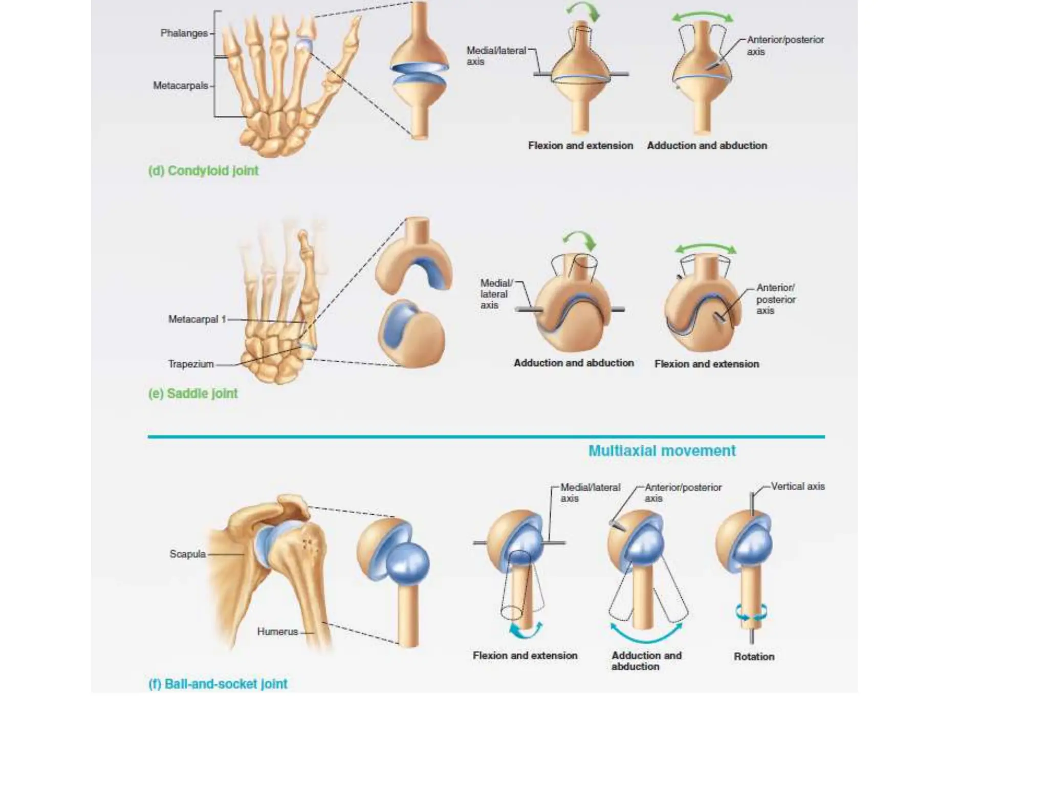 Joint presentation description 4_5810042307021376986.pptx | Free Download