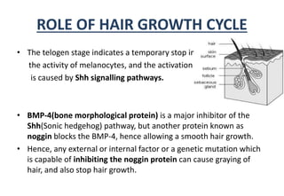 poster_hair graying | PPT