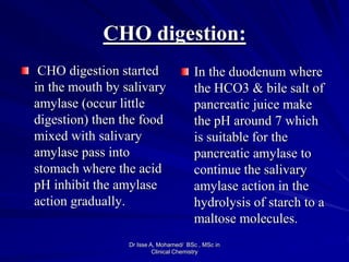 4 5827774745222842168 | PPT