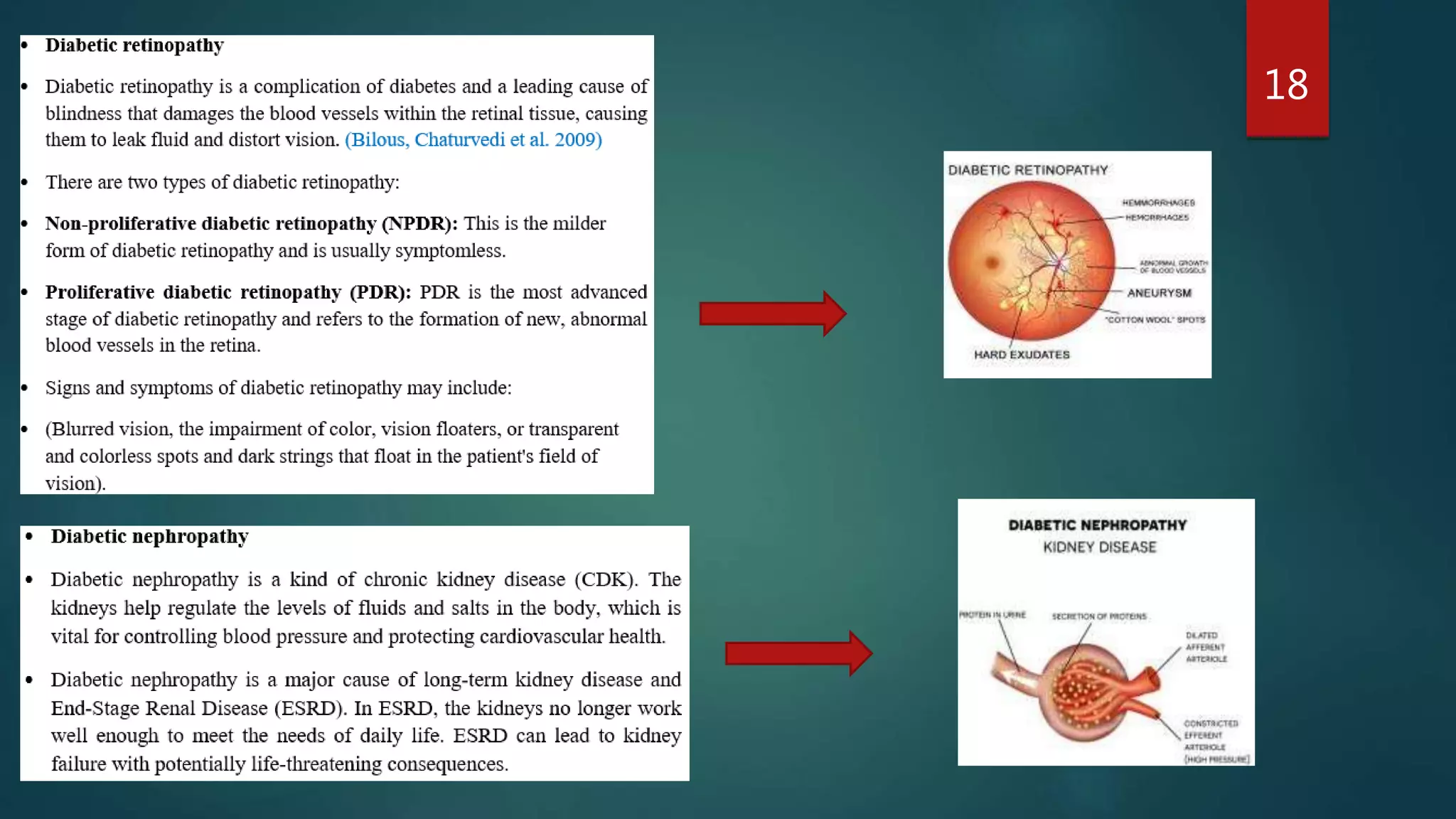 Anti-Diabetic Effect of Snake Venoms | PPTX | Endocrine and Metabolic ...