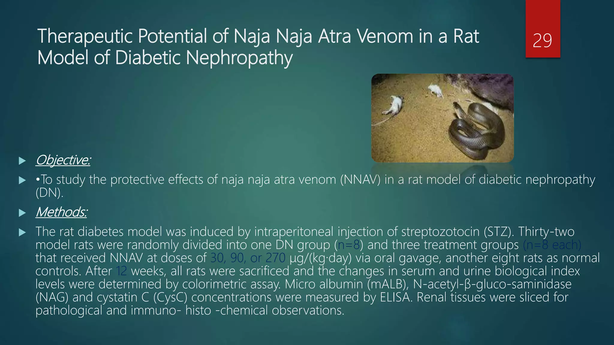 Anti-Diabetic Effect of Snake Venoms | PPTX | Endocrine and Metabolic ...