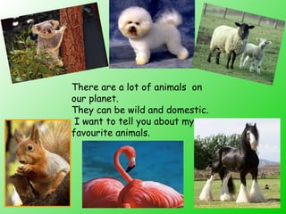 MY FAVOURITE ANIMAL | PPT