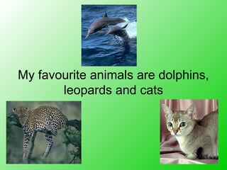 MY FAVOURITE ANIMAL | PPT