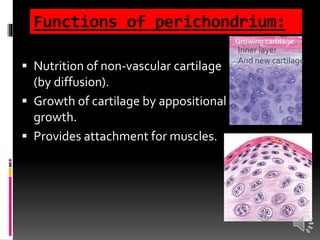 Cytology for medical students - first year medicine | PDF