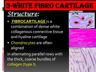Cytology for medical students - first year medicine | PDF