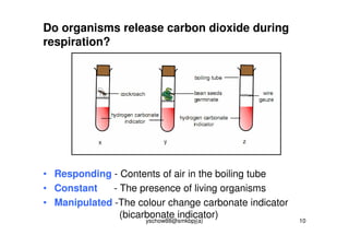 form-1-science-chapter-5-part2 | PPT