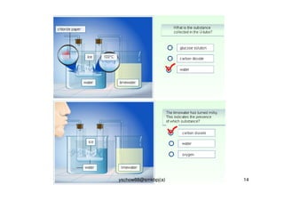 form-1-science-chapter-5-part2 | PPT