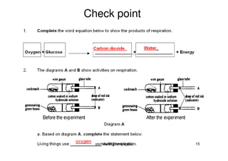 form-1-science-chapter-5-part2 | PDF