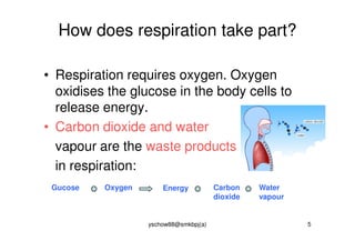 form-1-science-chapter-5-part2 | PPT