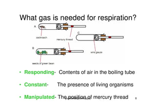 form-1-science-chapter-5-part2 | PPT