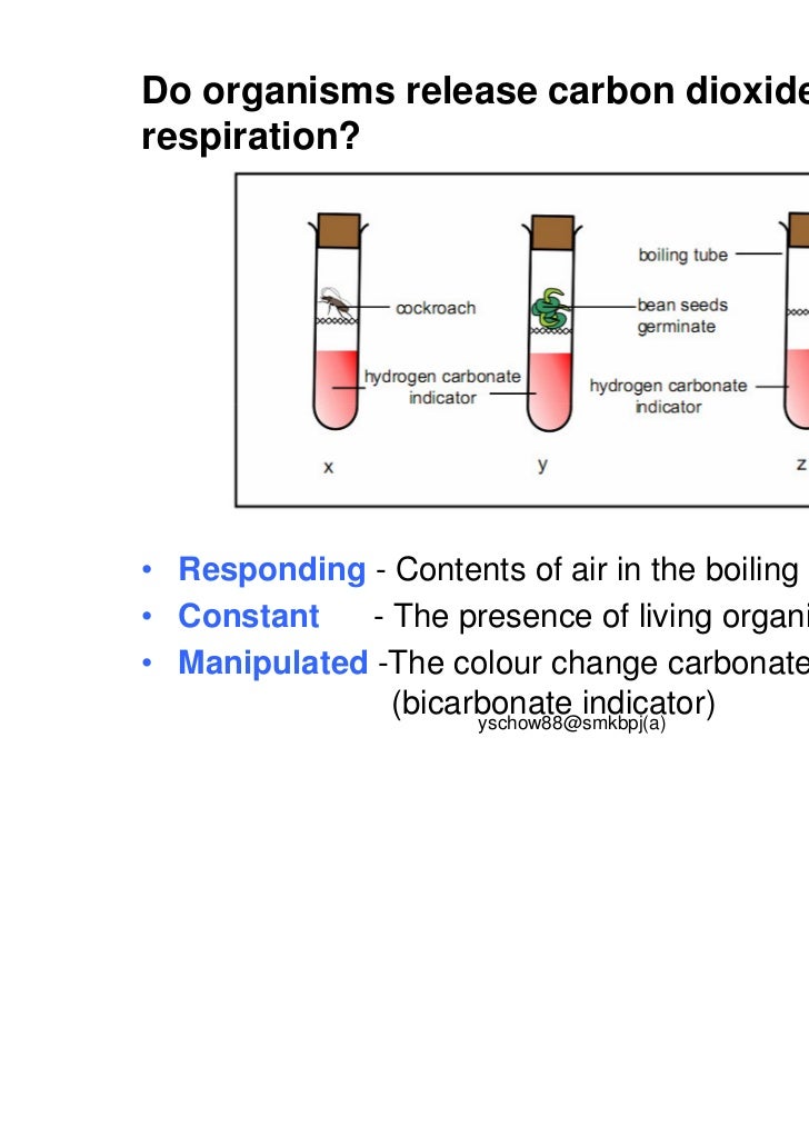 Form 1 Science Chapter 5 Part2