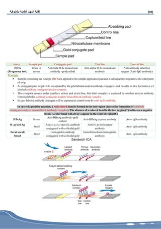 4_5881854508102846125.pdf