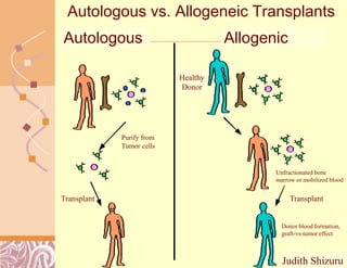 Stem Cell therapy.ppt