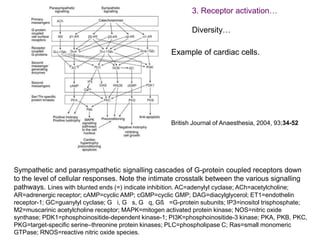 458_greenwood_01-02.ppt | Biological Sciences | Science