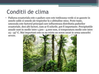459135957-Padurile-Ecuatoriale-Si-Savanele.pptx