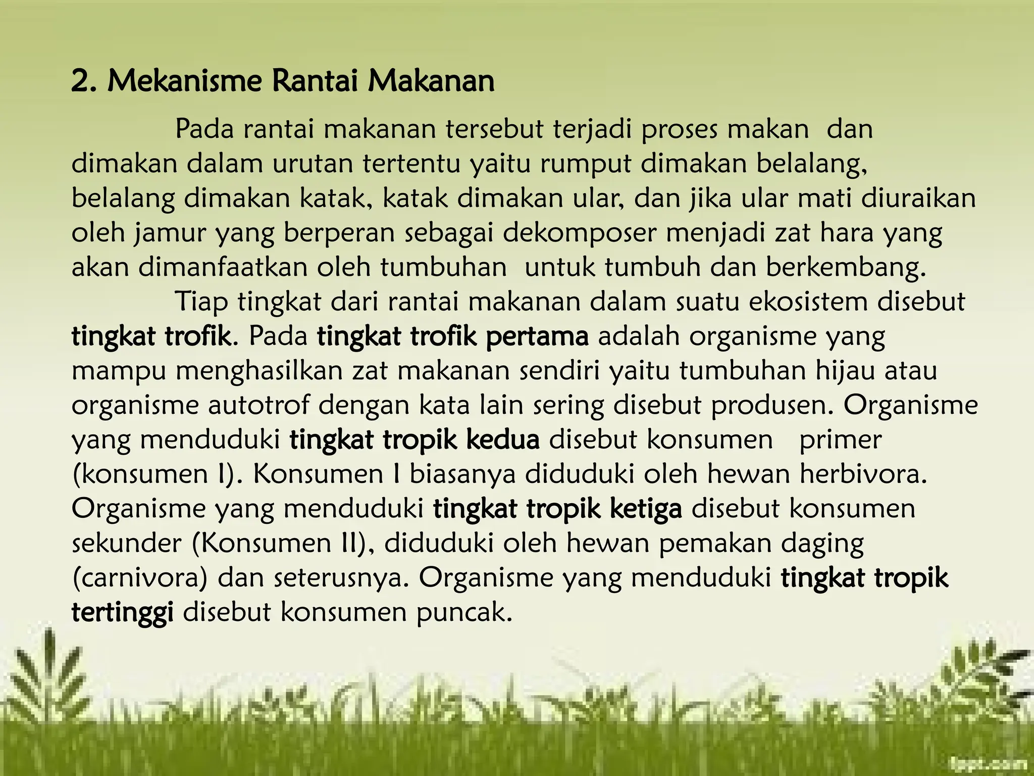 rantai makanan dan jaring-jaring makanan.pptx