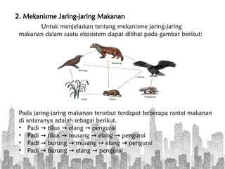 rantai makanan dan jaring-jaring makanan.pptx