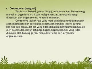 rantai makanan dan jaring-jaring makanan.pptx
