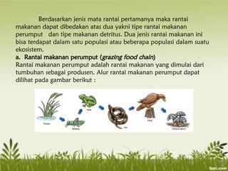 rantai makanan dan jaring-jaring makanan.pptx
