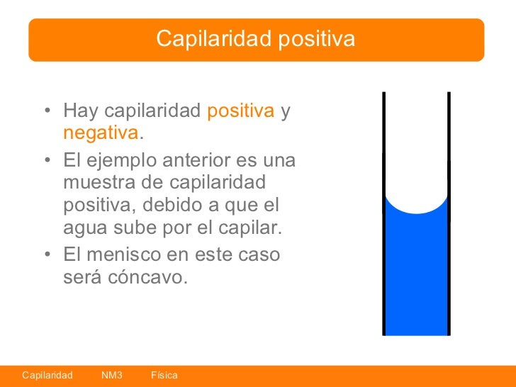 Que Es Capilaridad En Fisica Y Ejemplos - Solo Para Adultos En Sevilla