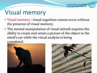 visual perceptual dysfunctions and assessment | PPT