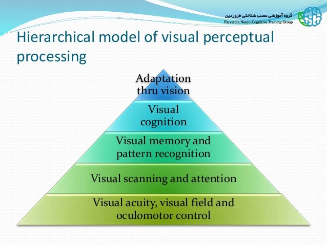 visual perceptual dysfunctions and assessment