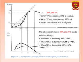 Economy about theory of production and cost | PPTX