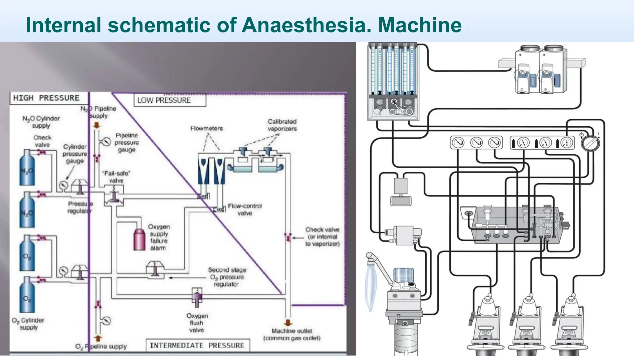 Anesthesia Receives anesthetic gasses from a high-pressure supply ...