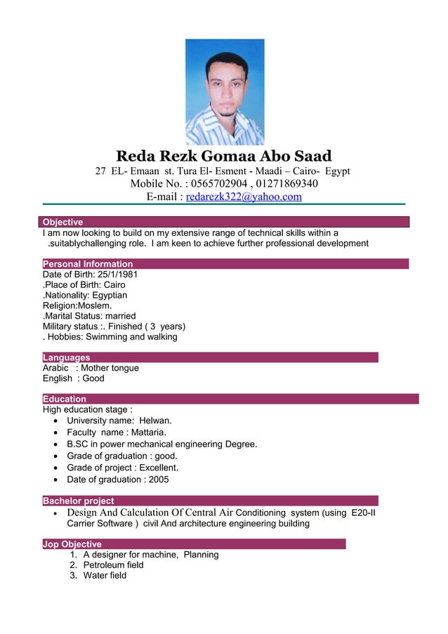 reda cv EN | PDF