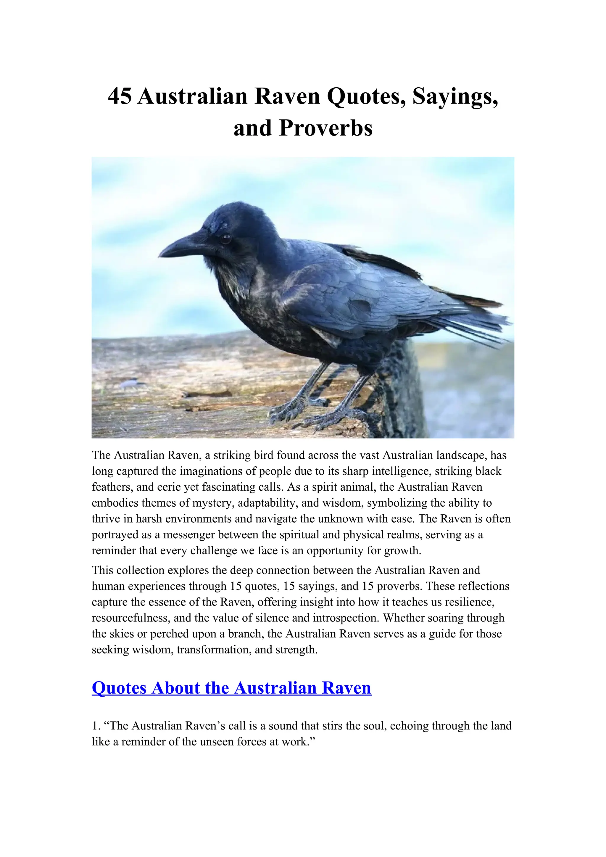 45 Australian Raven Quotes, Sayings, and Proverbs.docx